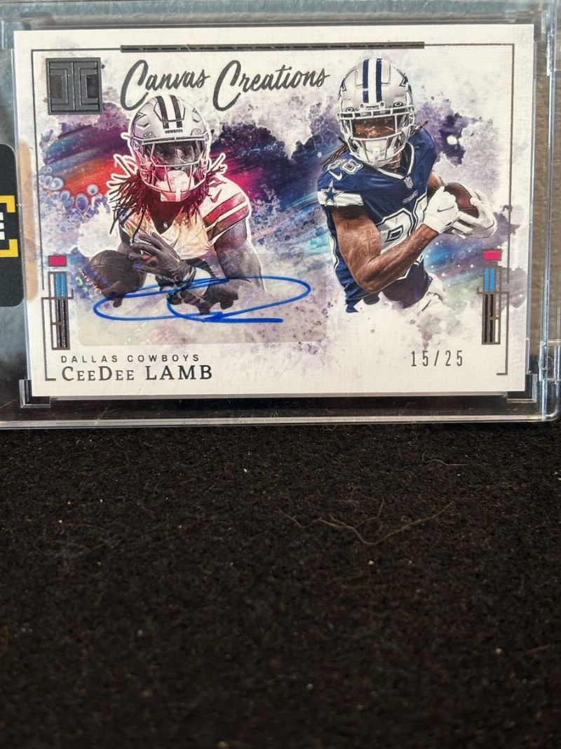 2025 Panini Impeccable Canvas Creations Signatures /25 (NFL) Checklist ...